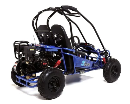 Blue 160cc 2 Seater Petrol Off-Road Kids & Teens Buggy – Kids Petrol Cars